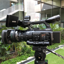 我在这里看你我在深圳 