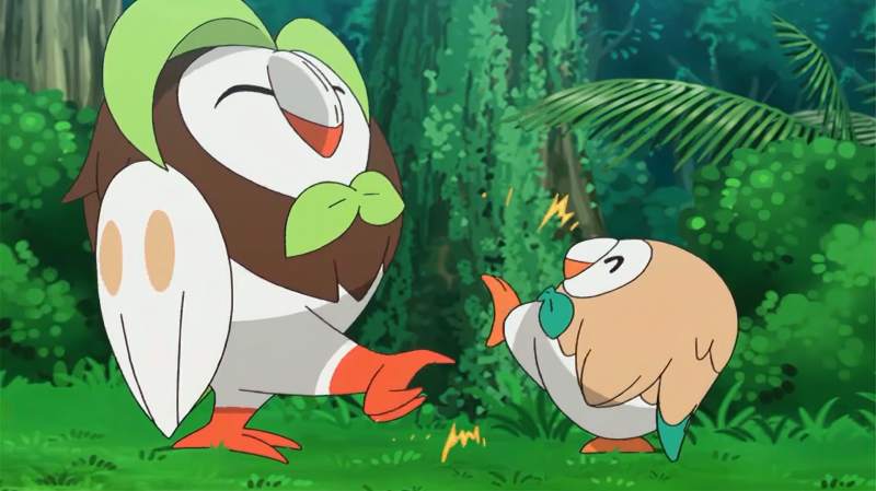 宝可梦日月:木木枭和投羽枭用爪子击掌,为啥不用翅膀