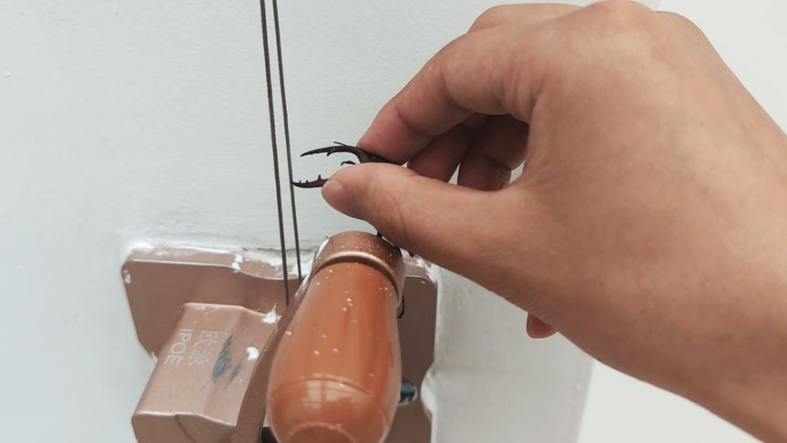 之前的存货,夹钢丝咯咯着响