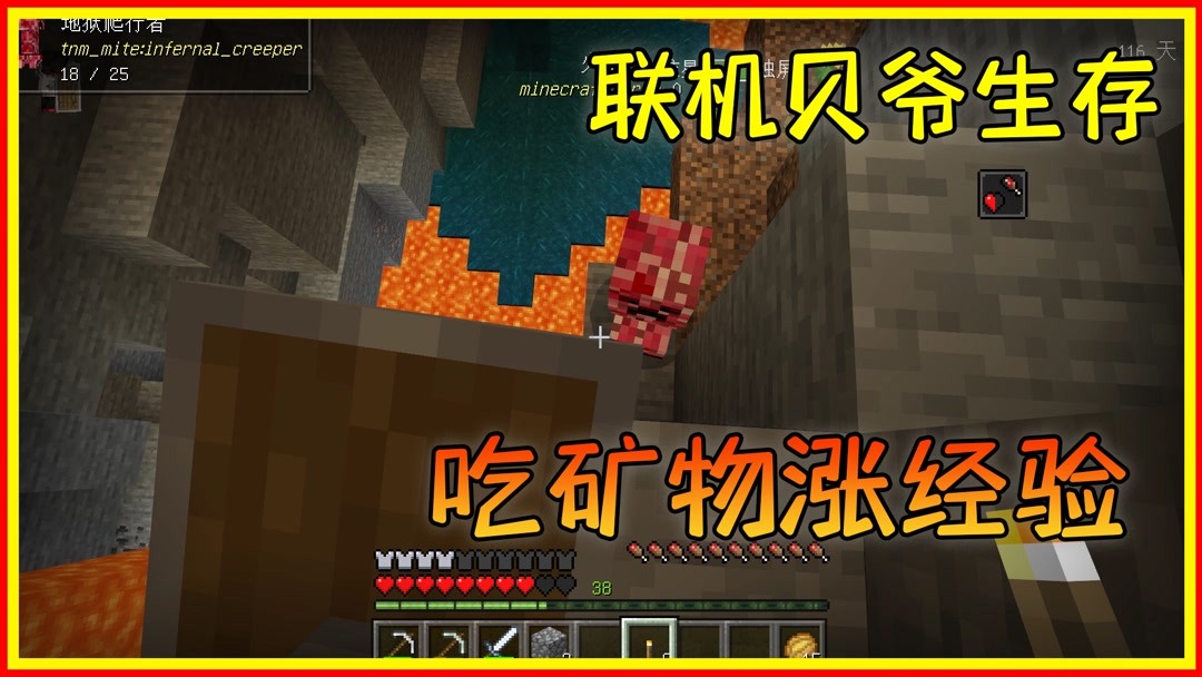 我的世界联机贝爷生存：滚滚只用了一集时间，从负一到三十八级