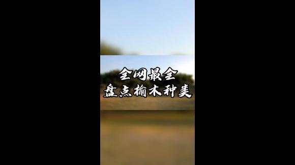 实木家具好,木材哪里找?全网最全榆木种类第一集