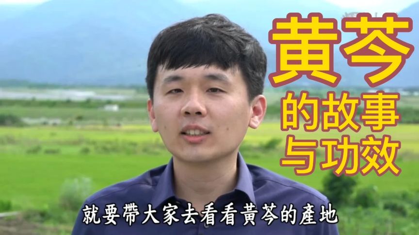 黄芩的故事与功效