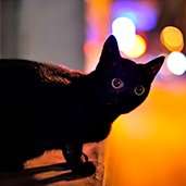 小星星游戏摄影频道 