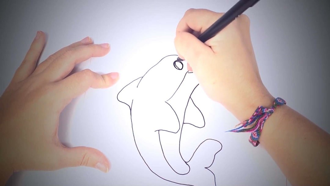 儿童简笔画:.如何为孩子画海豚_海豚绘画教程 简笔画教学视频