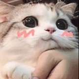 我是取名无能呵呵 