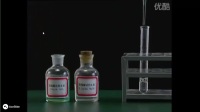 高中生物必修一 实验微课 检测生物组织中的糖、脂肪和蛋白质