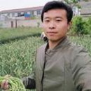 皖北乡下军 