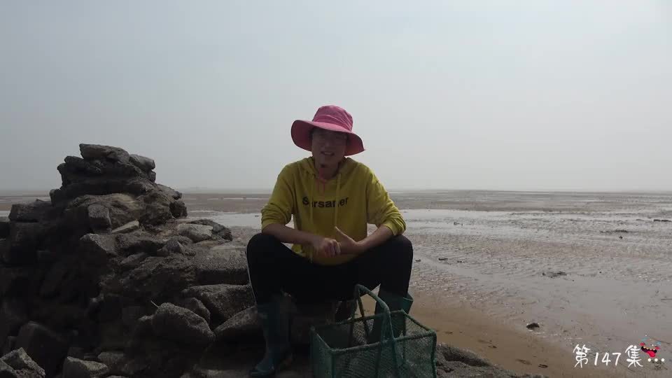 猫眼螺开始找男朋友了,沙滩中四处乱跑,涨潮时最容易抓它!