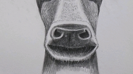 简单易学的素描动物牛的画法 素描动物入门