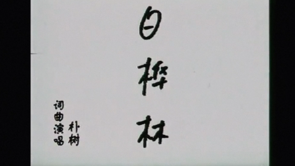 【口琴】《白桦林》-十孔-GM-A调-流行