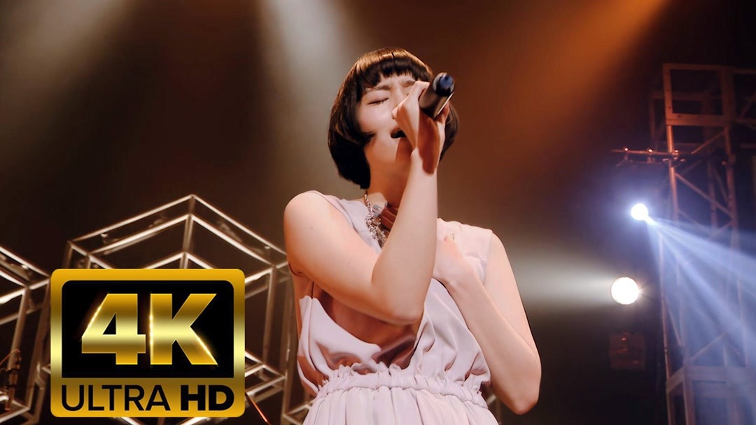【4K顶级画质】核爆神曲《aLIEz》2019现场,终于有4K版本了!