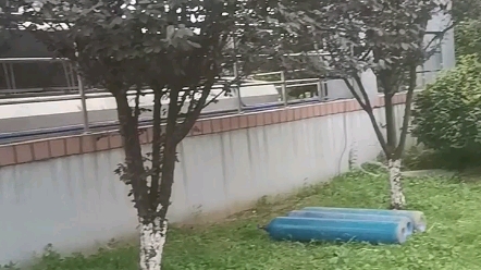 铁基催化臭氧高级氧化实验