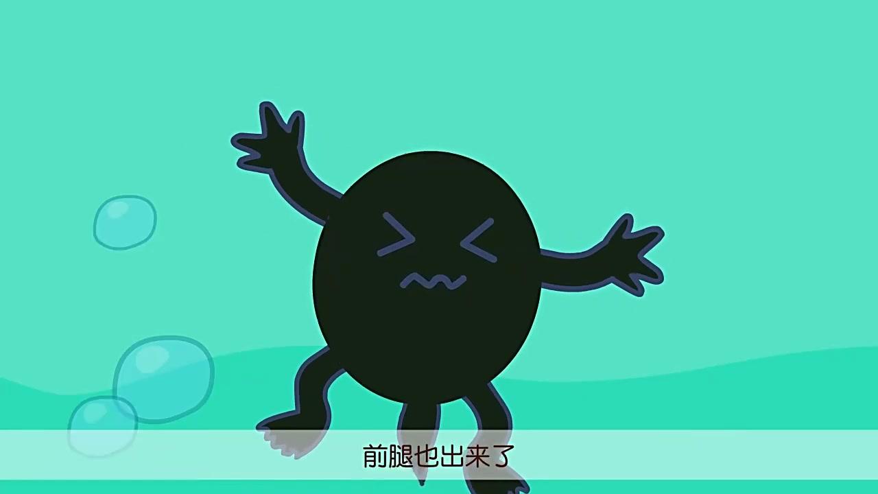 咕力咕力:幼儿启蒙教育动画片,看动画学知识