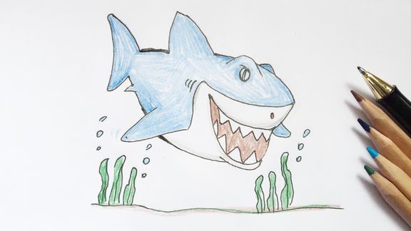 鲨鱼简笔画,2分钟就学会,你也画画看吧!