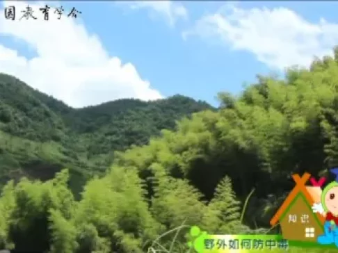 认识有毒动植物