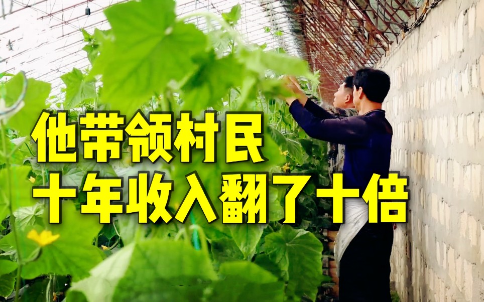 硬核大叔带村民十年收入翻了十倍 只因当年一场感动