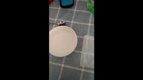 幼儿园科学小实验长长的泡泡虫