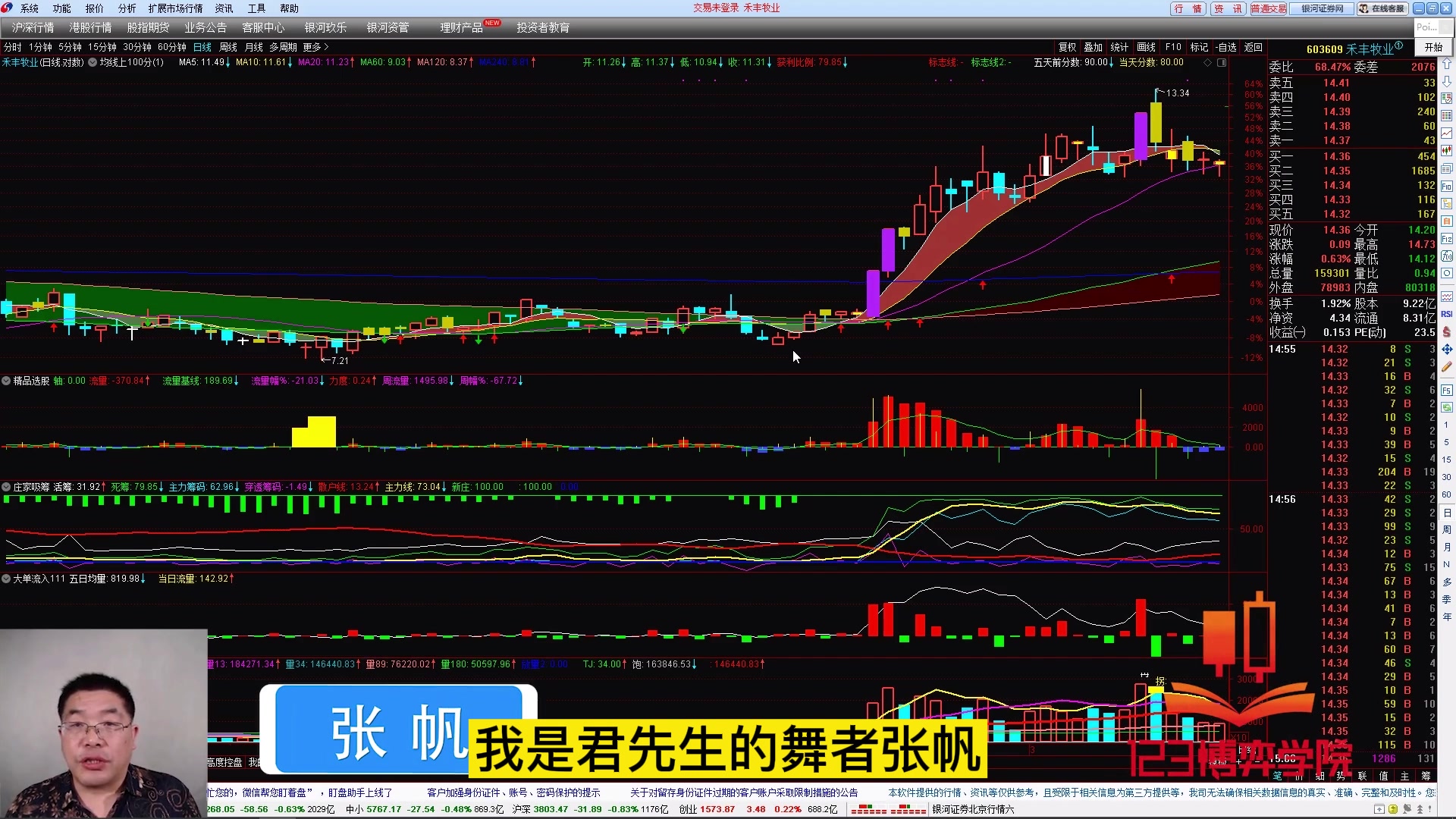 张帆 认知股票 支撑