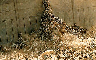 僵尸世界大战最经典的镜头