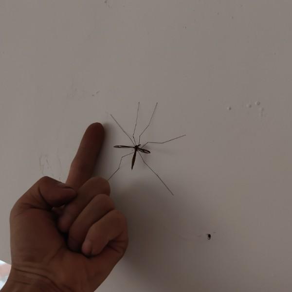 づ獵亻 