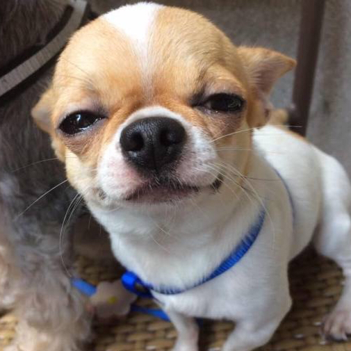 一起追剧吧哈哈 