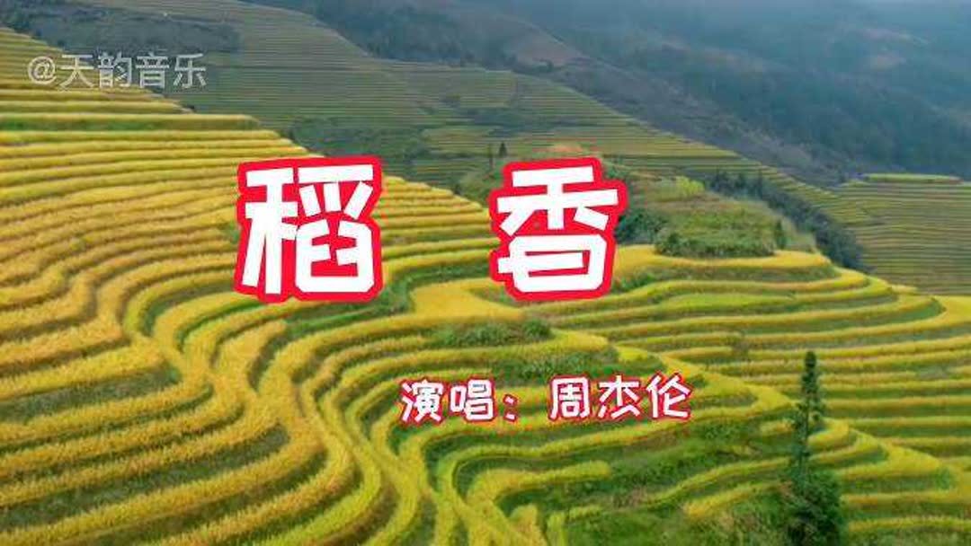 周杰伦《稻香》太好听了