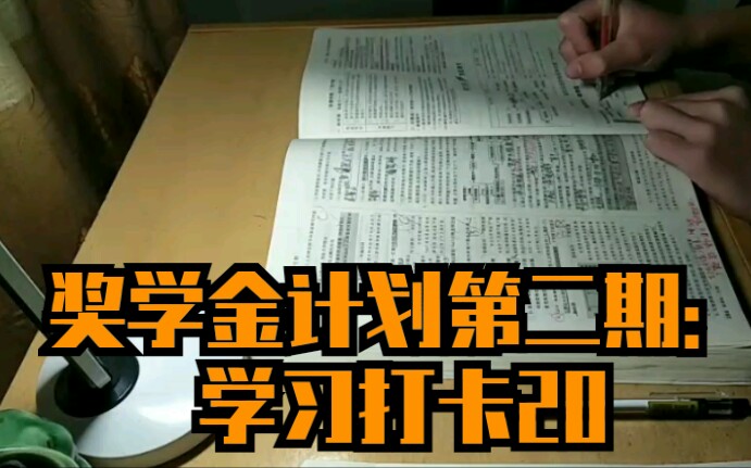 奖学金计划第二期:学习打卡20