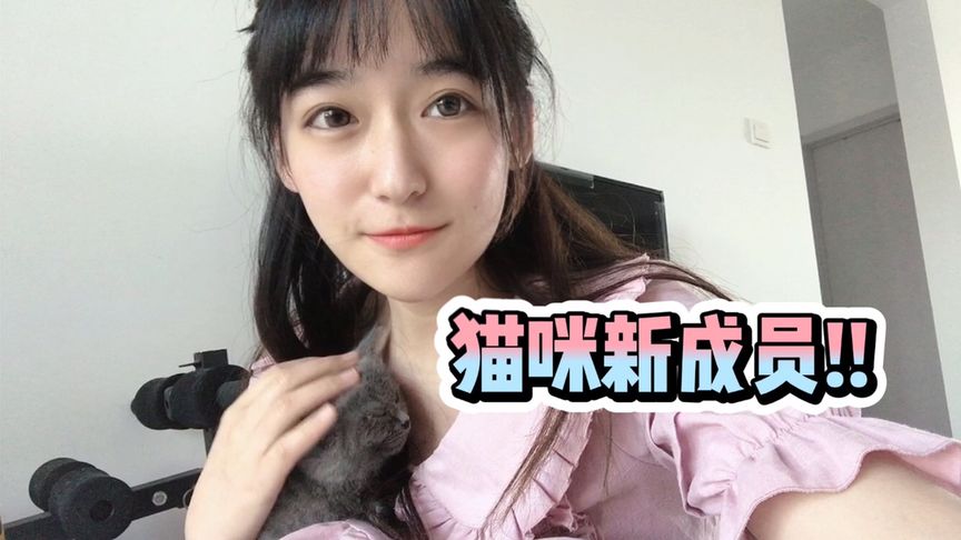 木木的520礼物来啦,家里添了新成员,一只小奶猫呀嗷呜
