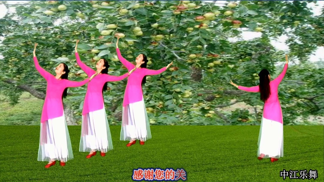 优美形体舞《红枣树》,歌醉舞美,正背面演示