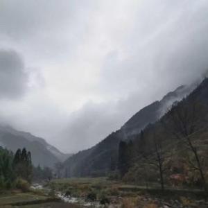 静守己心笑谈浮华 