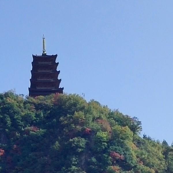 高哥影视传媒工作室 