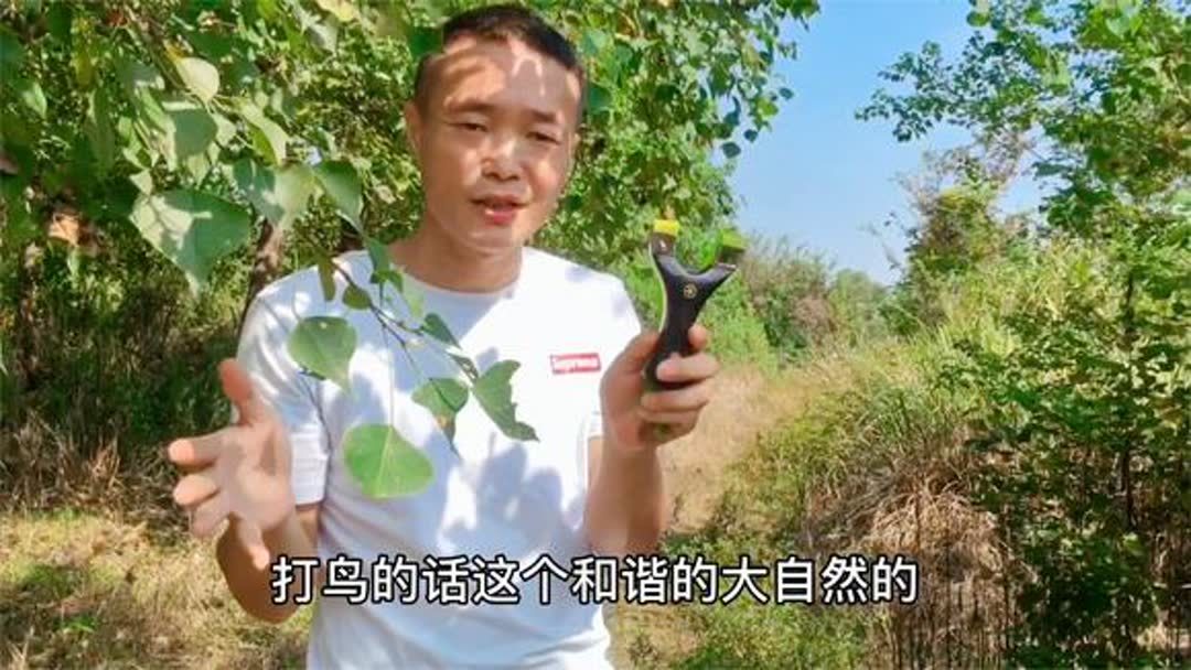 玩弹弓怎么快速打准百发百中?去户外练习找准瞄点,一发击中