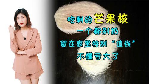 吃剩的芒果核,一个都别扔!留在家里非常"值钱",不懂亏大了!
