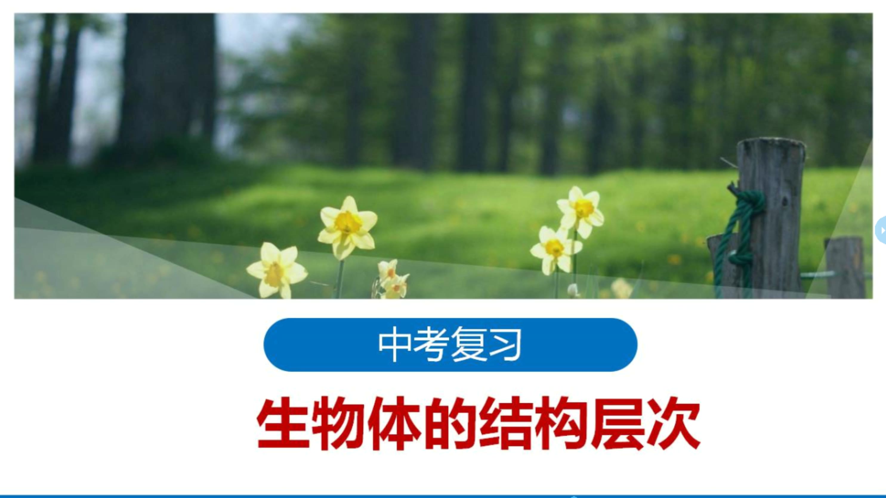 九年级中考复习:生物体的结构层次