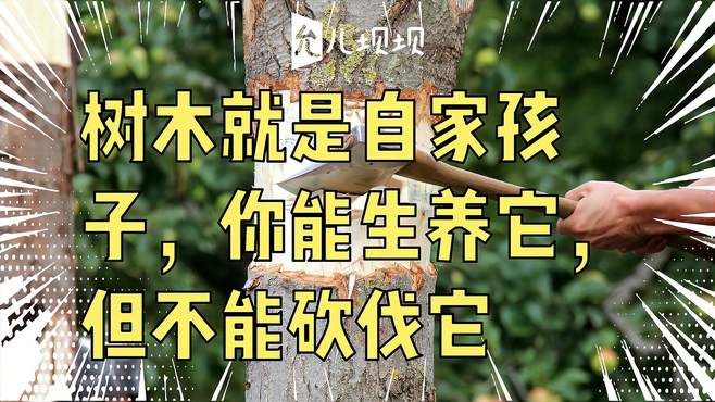 树木就是自家孩子,你能生养它,但不能砍伐它!