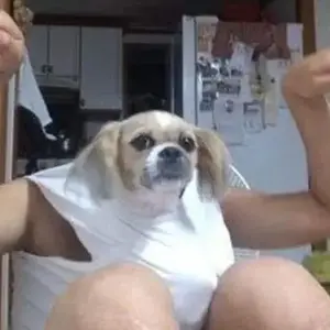 搞笑欧尼 