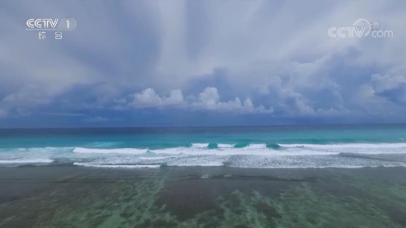 [视频]生物多样性MV