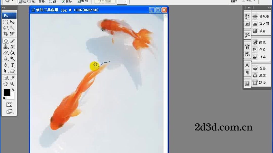 【Photoshop自学教程】36修补工具的使用