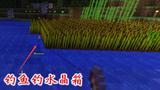我的世界虚无世界51:我钓鱼钓到几个水晶箱,里面装着什么宝贝?