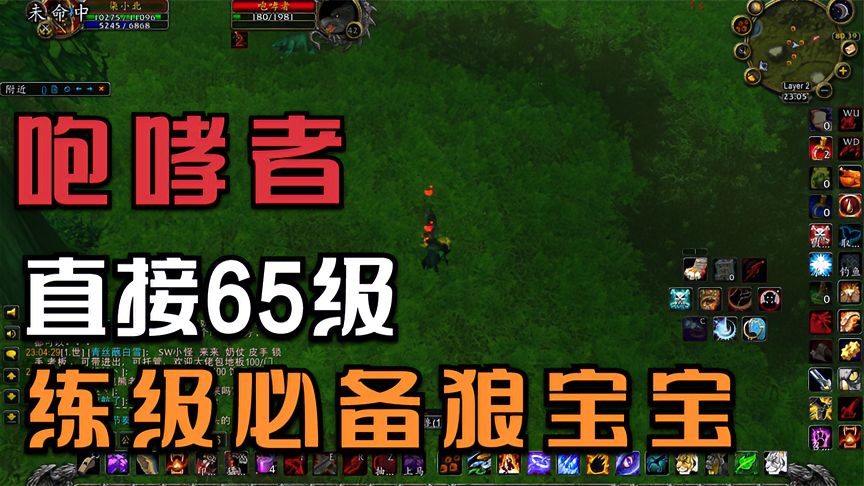 【魔兽世界WLK】为了开80练级做准备,猎人提前抓个狼宝宝很重要