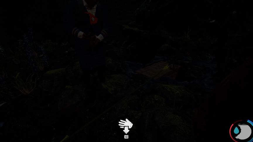 #森林 探索山洞差点出不来