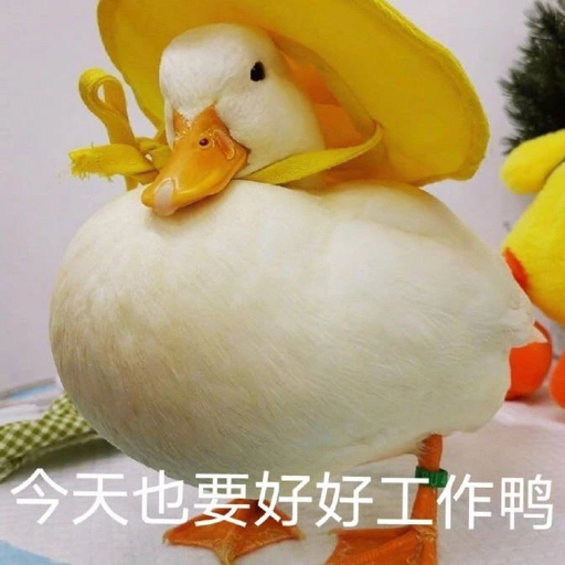cacawdm 