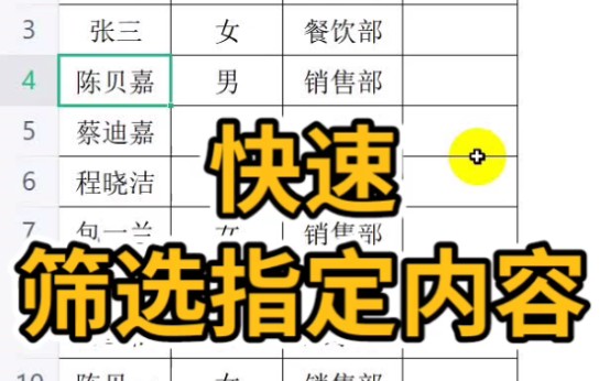 Excel快速筛选指定内容