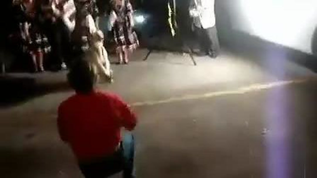 狗狗跳舞!狗狗也可爱_标清