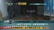 鸡主一夜死500只鸡 全部倒邻居门口