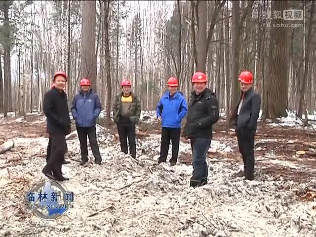 临江林业局副局长黄吉文走访慰问木材生产一线员工