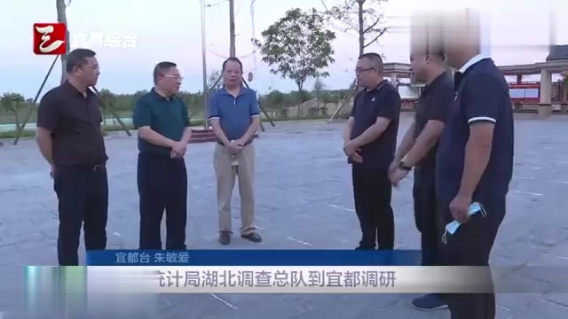 国家统计局湖北调查总队到宜都调研