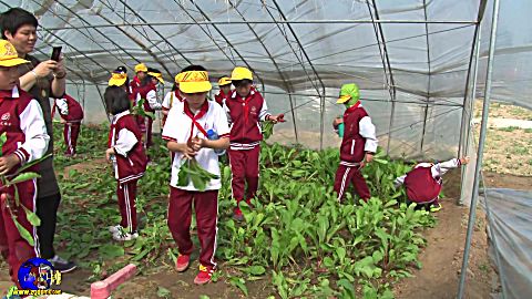 北京教育学院附属大兴实验小学开展农耕课程体验活动