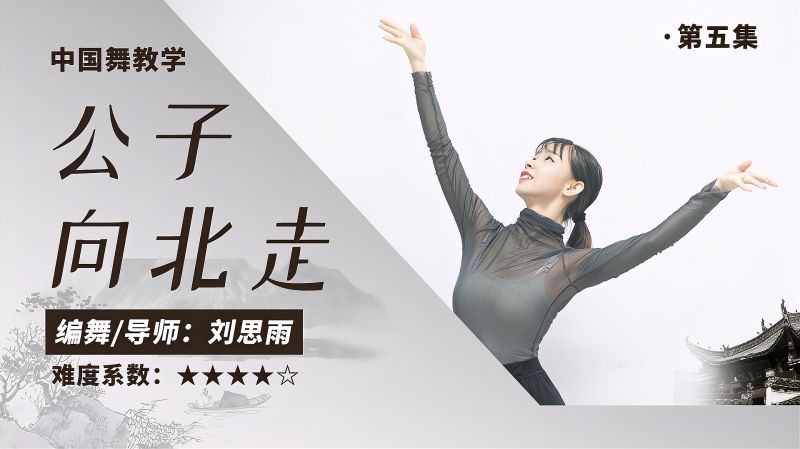 零基础必学,风靡古风圈的火爆音乐《公子向北走》舞蹈教学第五集