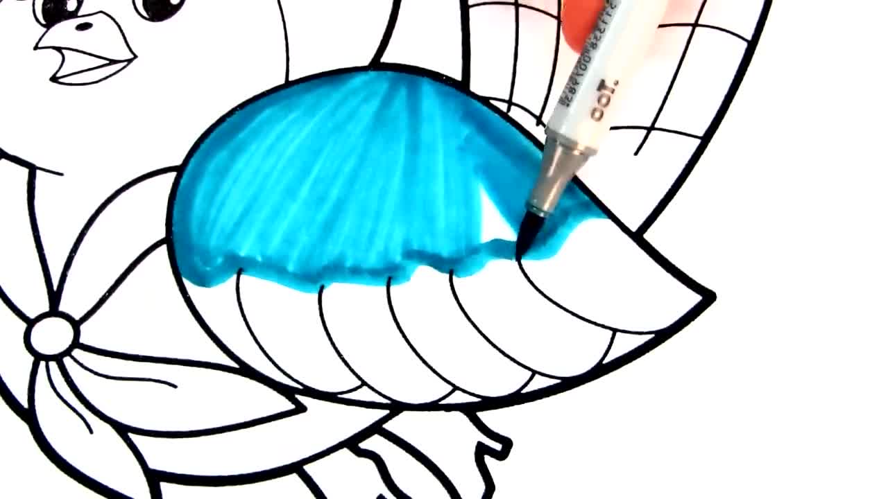 简笔画:可爱的小鸟在自由的飞翔